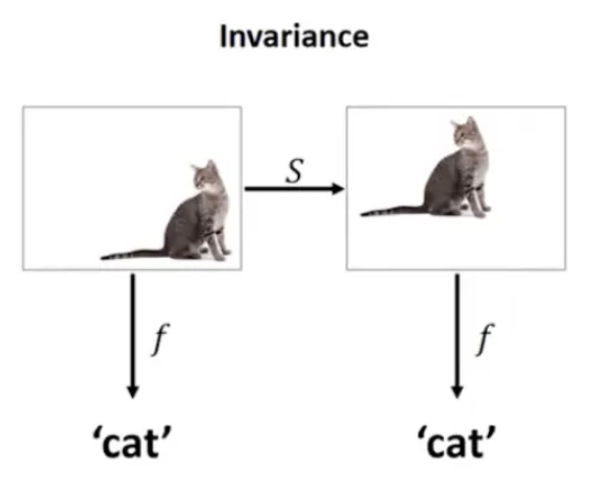 Translational Invariance Vs Translational Equivariance