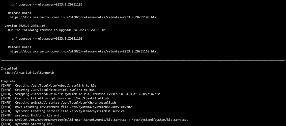 [Kubernetes] EC2 1대를 이용한 k3s 단일 노드 클러스터 구축 및 ECR 기반 서비스 운영