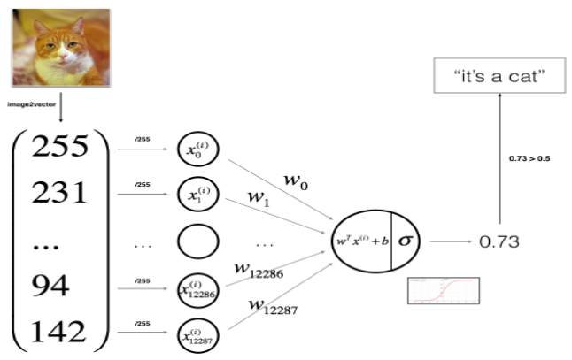 Logistic Regression with a Neural Network mindset