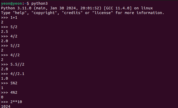 [python] python @ubuntu