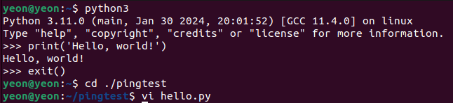 [python] python @ubuntu