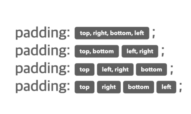TIL 10 | CSS-06(margin,padding,border,색상표현)