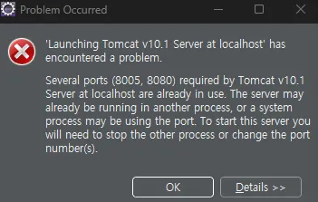 ‘Launching Tomcat v10.1 Server at localhost’ has encountered a problem.