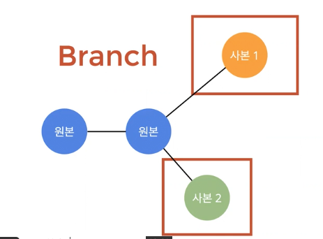 5. branch