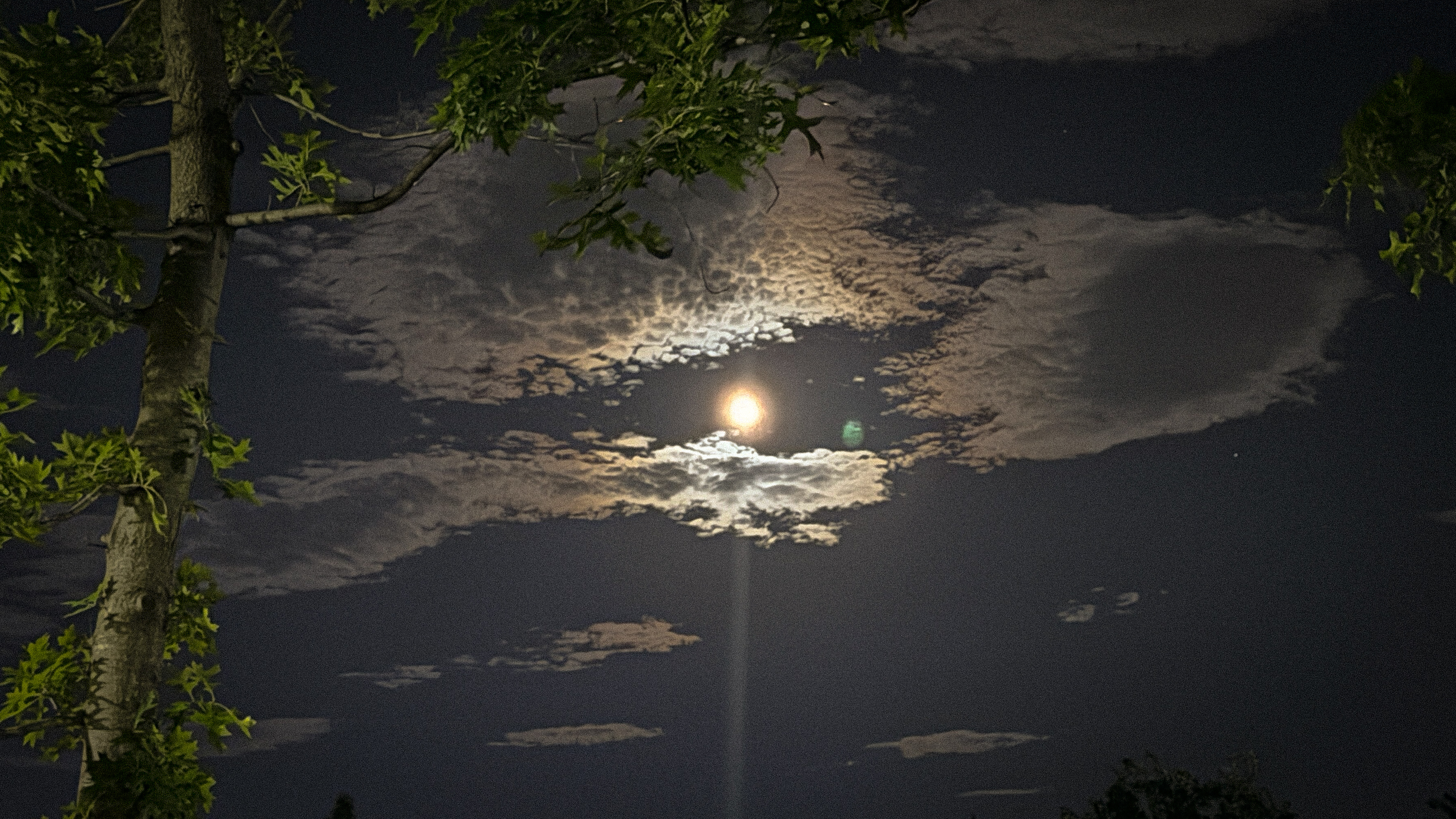 Apple Developer Academy @ POSTECH 7월 셋째주 회고