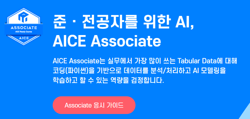 [KT AIVLE]인공지능 능력시험 AICE Associate 시험 후기