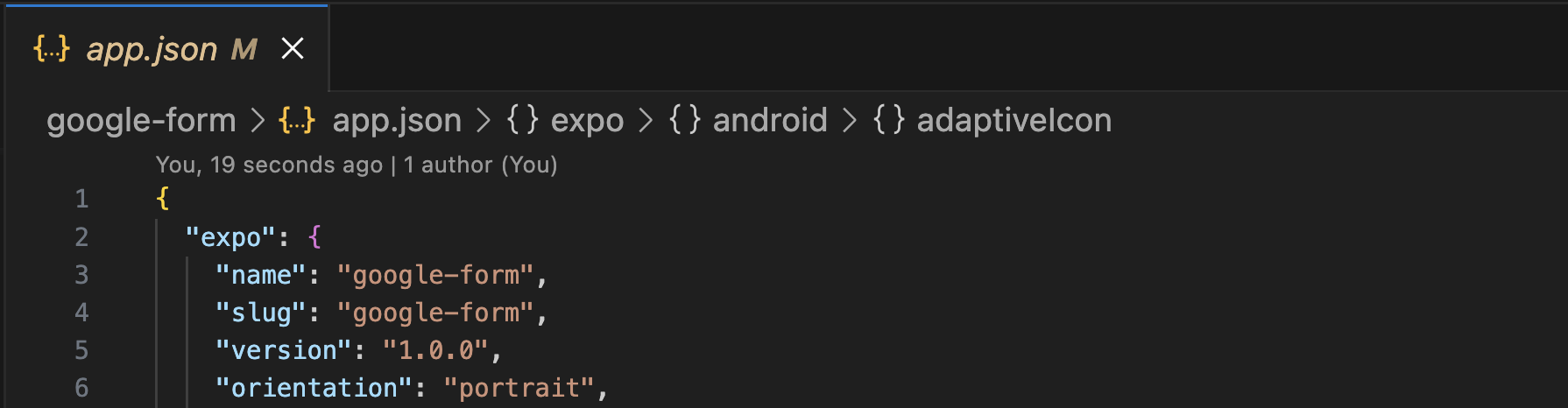 [React-Native] React Native Expo 프로젝트의 app.json 분석하기