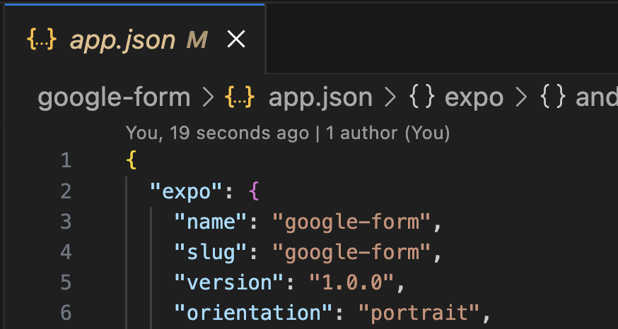 [React-Native] React Native Expo 프로젝트의 app.json 분석하기
