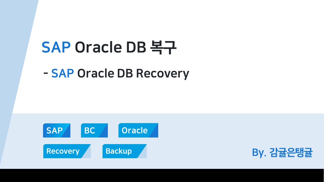 Oracle Db 복구 Oracle Db Recovery