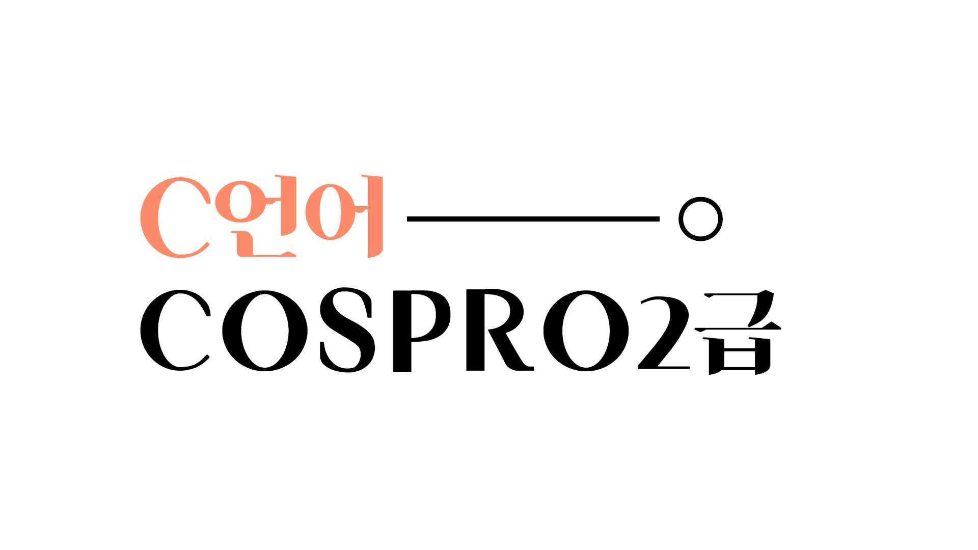 💯[cospro2급]풀이. 01💯