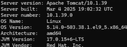 Spring Migration- tomcat10.1.42 / multipartException