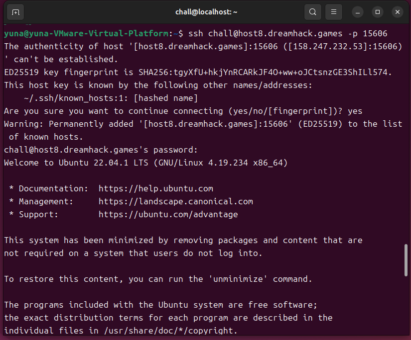 Dreamhack - file-special-bit (misc)
