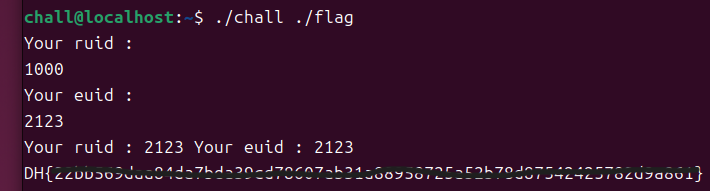 Dreamhack - file-special-bit (misc)