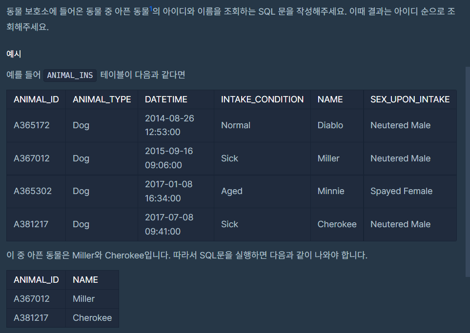 프로그래머스 코딩테스트 연습 모든 레코드 조회하기 Sql