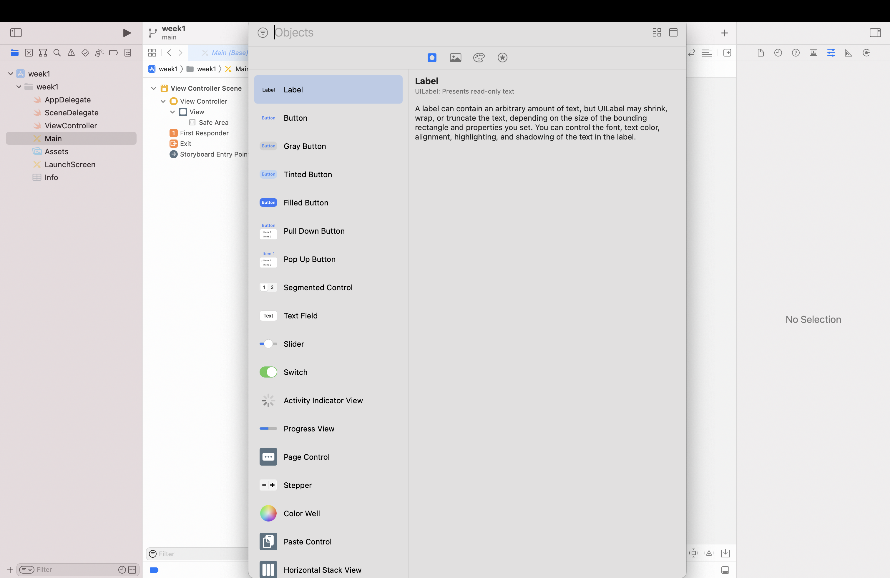 iOS 1주차 Xcode 기본 환경 설정 및 info.plist 알아보기
