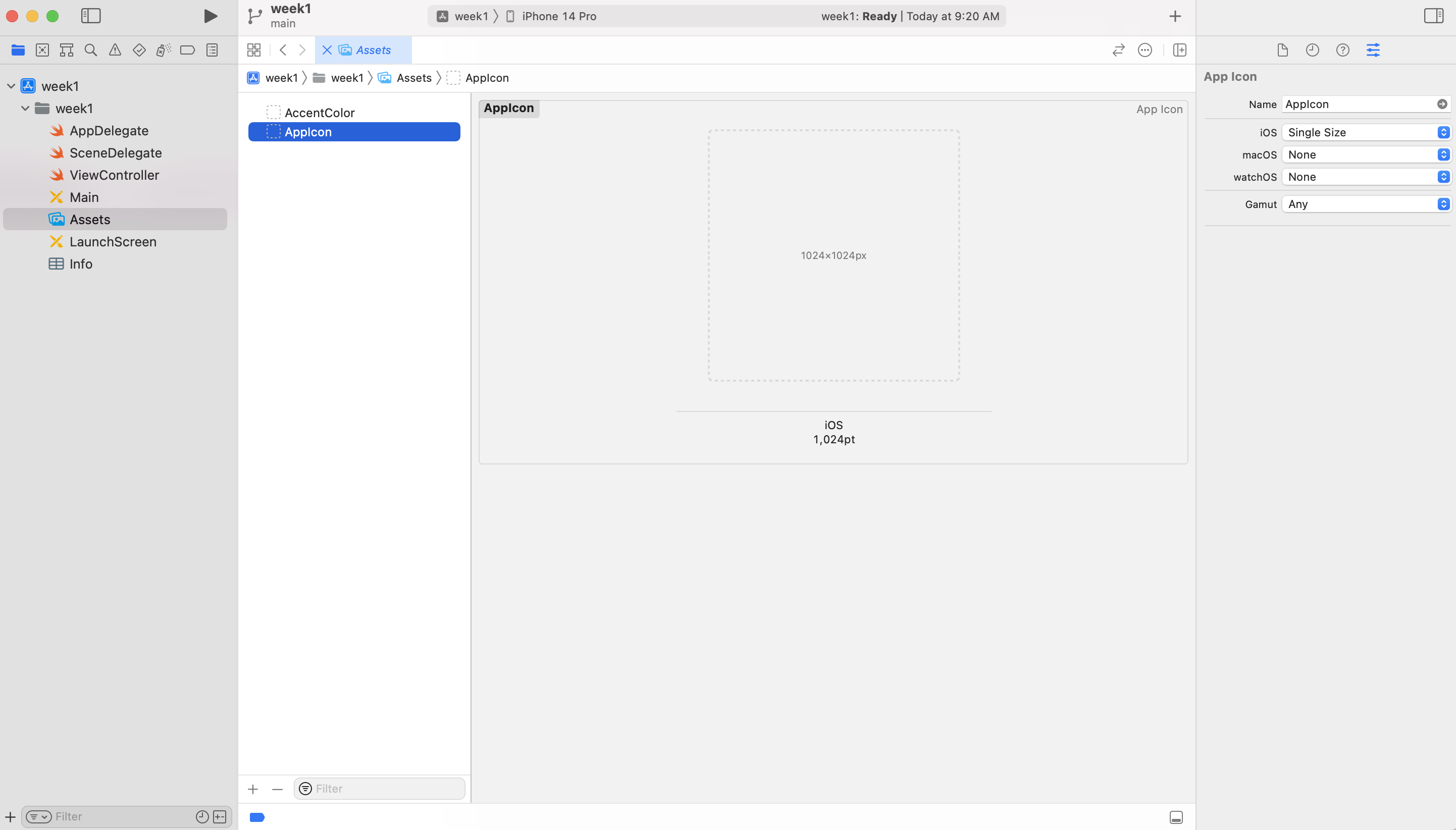 iOS 1주차 Xcode 기본 환경 설정 및 info.plist 알아보기