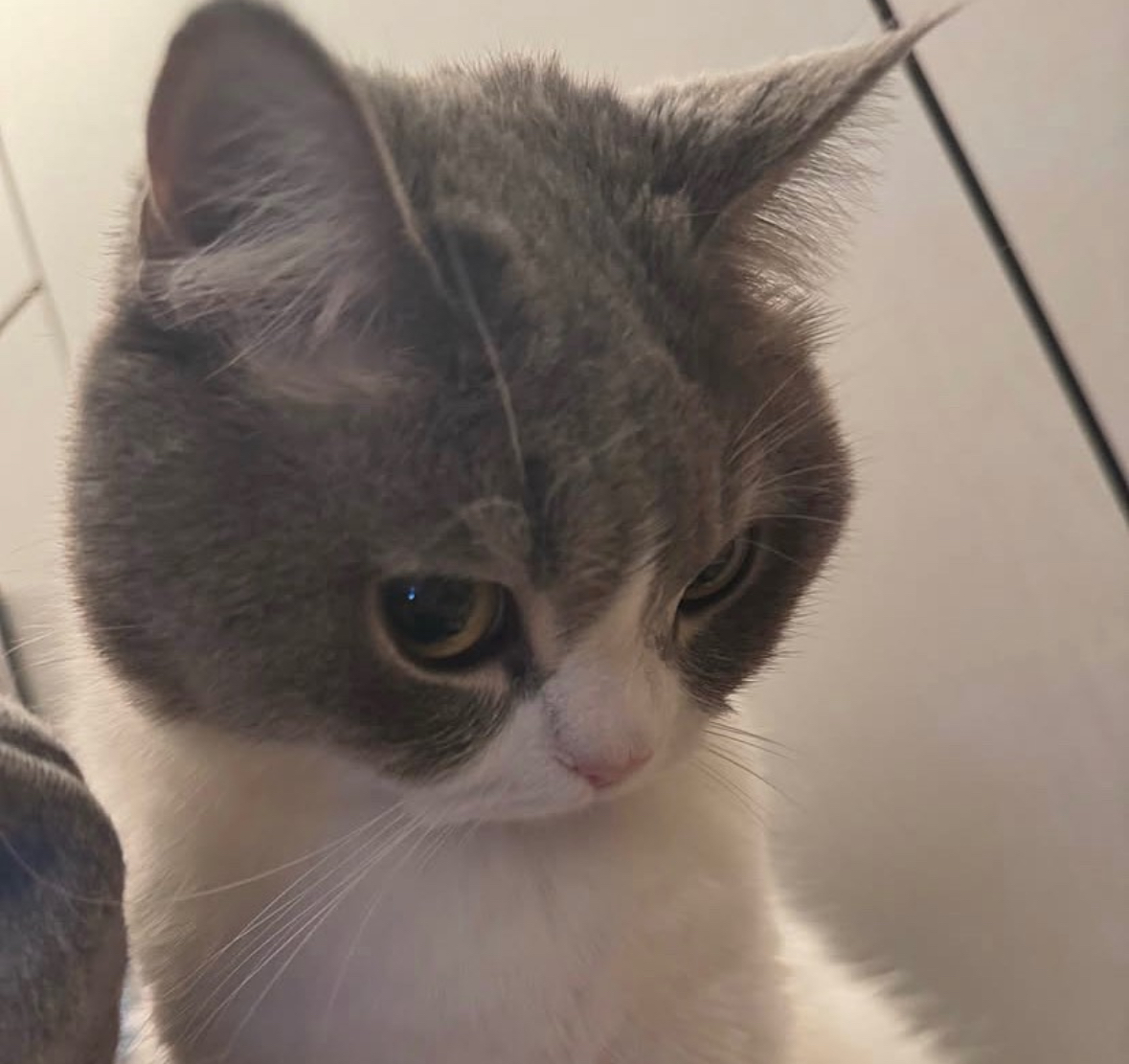 [SQL] LEFT JOIN 구문 잘쓰기