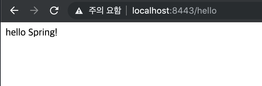 [Spring Boot] 내장 웹 서버 - 2 (스프링부트 HTTPS / HTTP2)